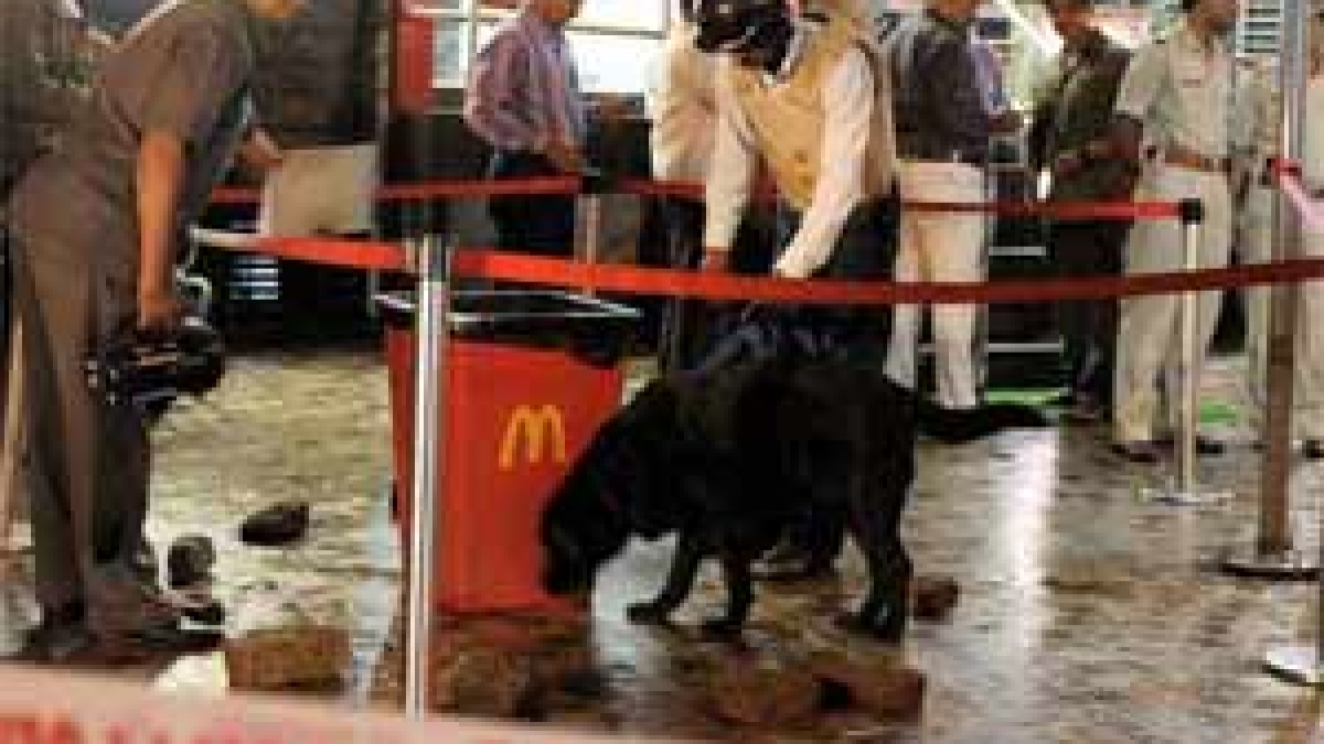 Design flaw reduced the impact of the Pune blast | Indian Mujahideen ...