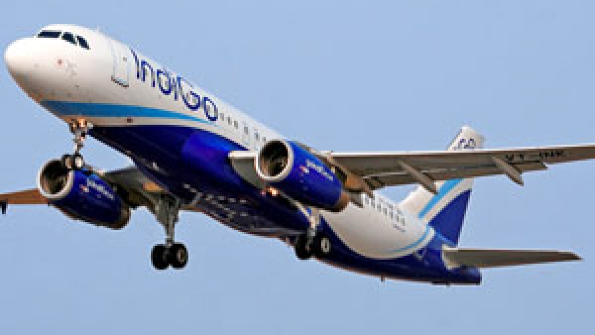 IndiGo Flights | Book Tickets Online | Chandigarh | Mumbai | Goa ...