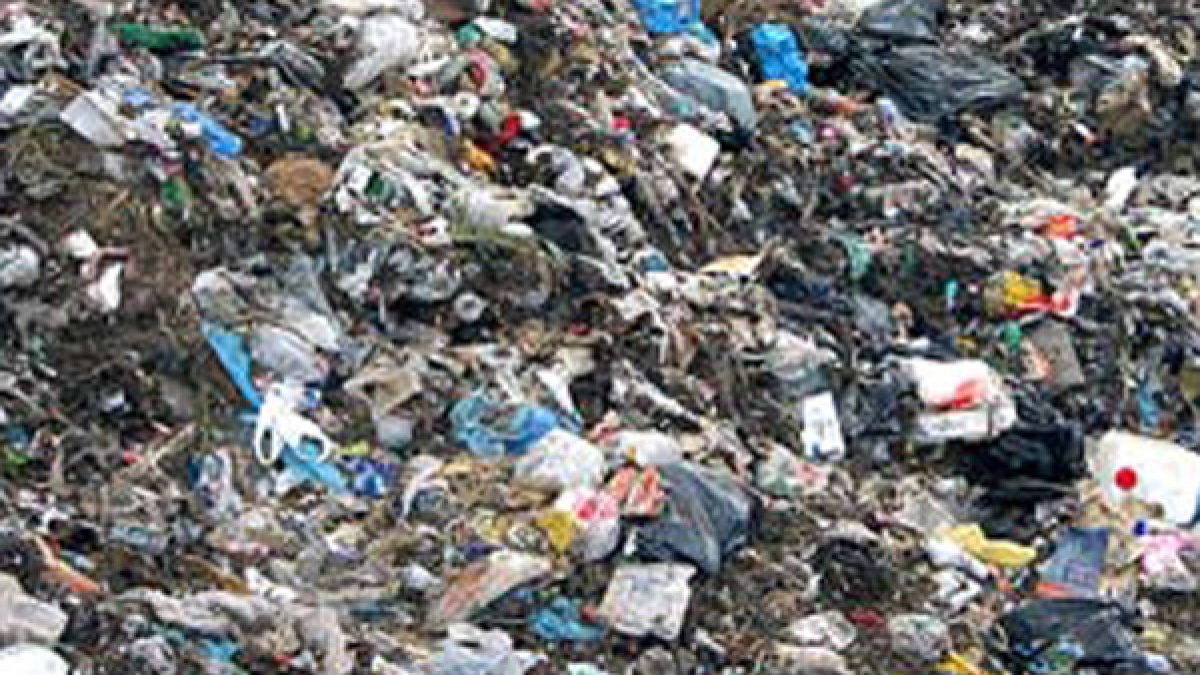 Bangalore's baby steps at waste segregation - Oneindia News