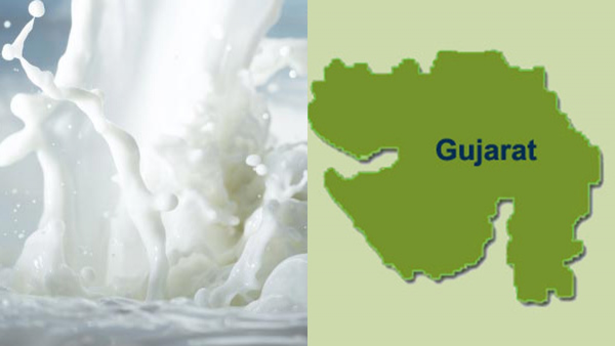 Baroda Dairy's daily milk procurement crosses 5 lakh litres - Oneindia News