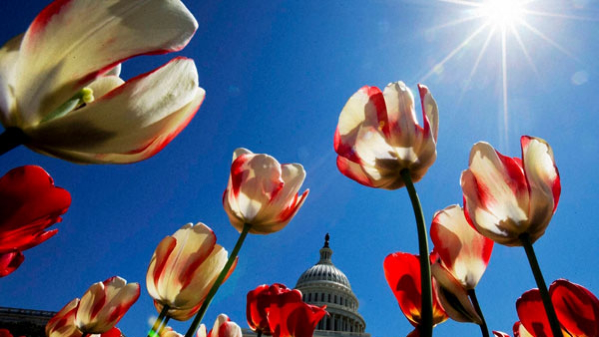 In Pics: What happened across the world on April 28 - Oneindia News