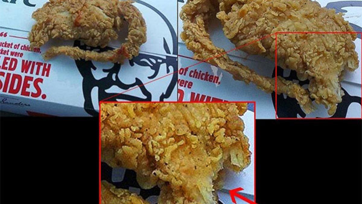 KFC serves fried Rat, not Chicken: Mystery complicates the case ...
