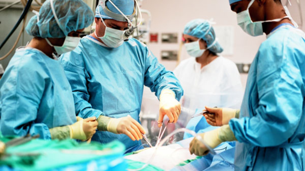 Monkey undergoes head transplant, successful - Oneindia News