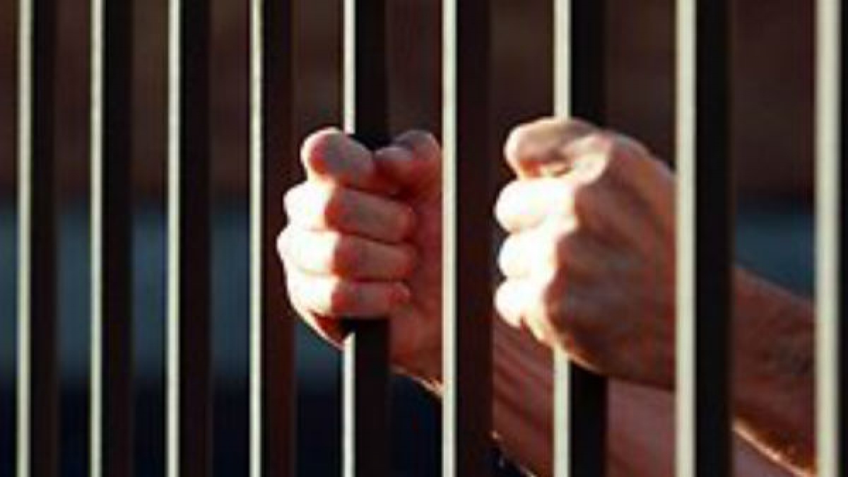 Prominent Arab Spring activist sentenced to 2 years prison - Oneindia News