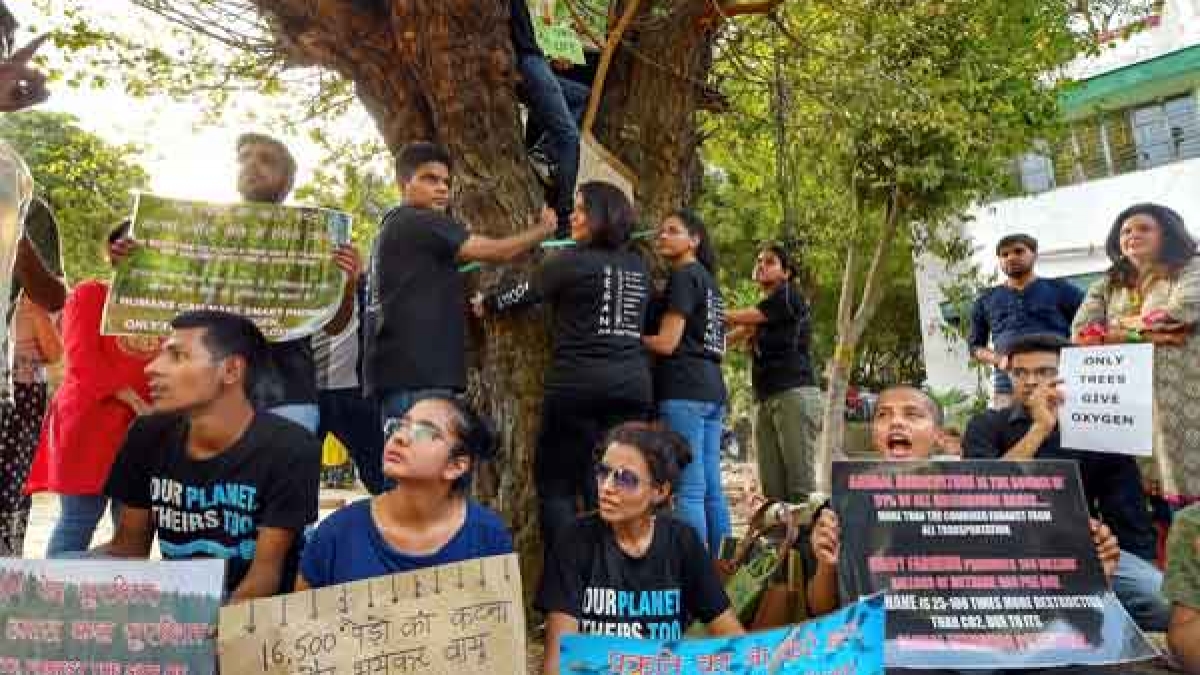 Delhi’s own ‘chipko’ movement: Protest to protect 14,000 trees ...