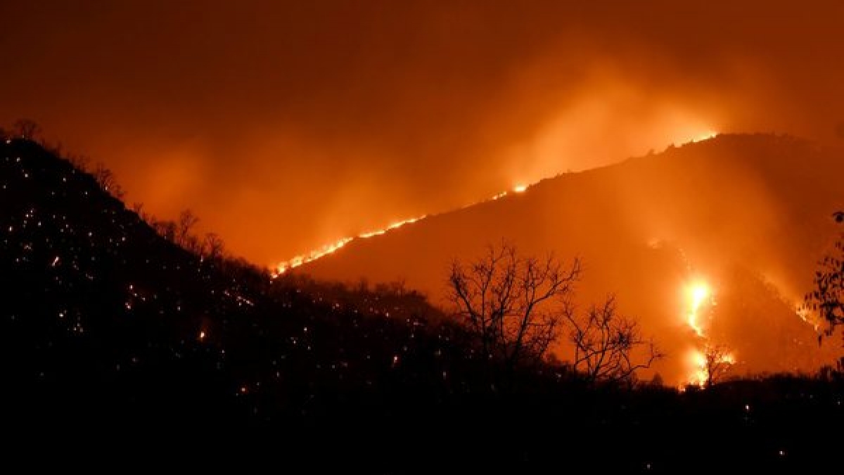 Karnataka: Major fire in Bandipur Tiger Reserve, hundreds of acres ...