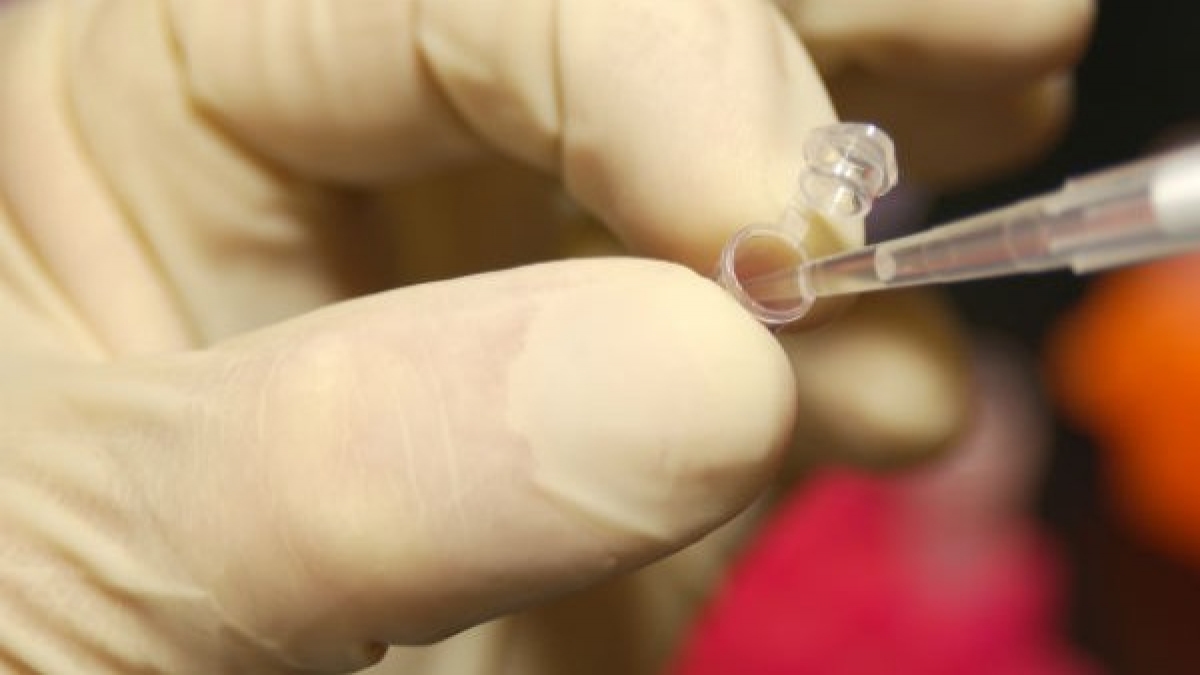 Fact check: Was Ministry of culture planning to conduct a study on ...