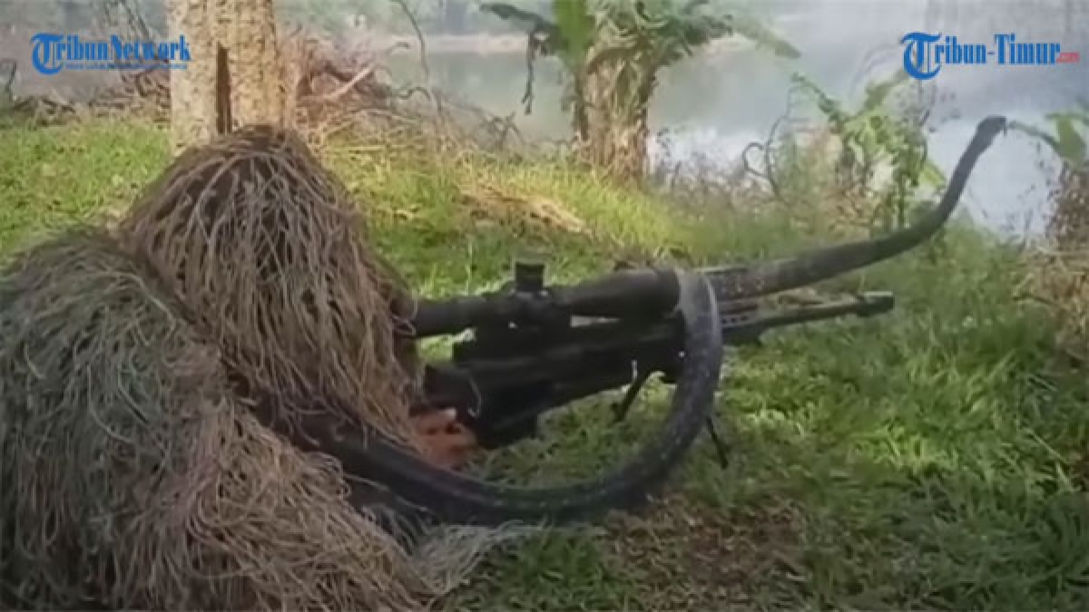 Fact Check: Snake coiling itself around Army sniper is from Indonesia ...
