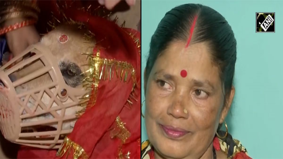Sheru weds Sweety! Childless couple conducts pet dogs' marriage with ...