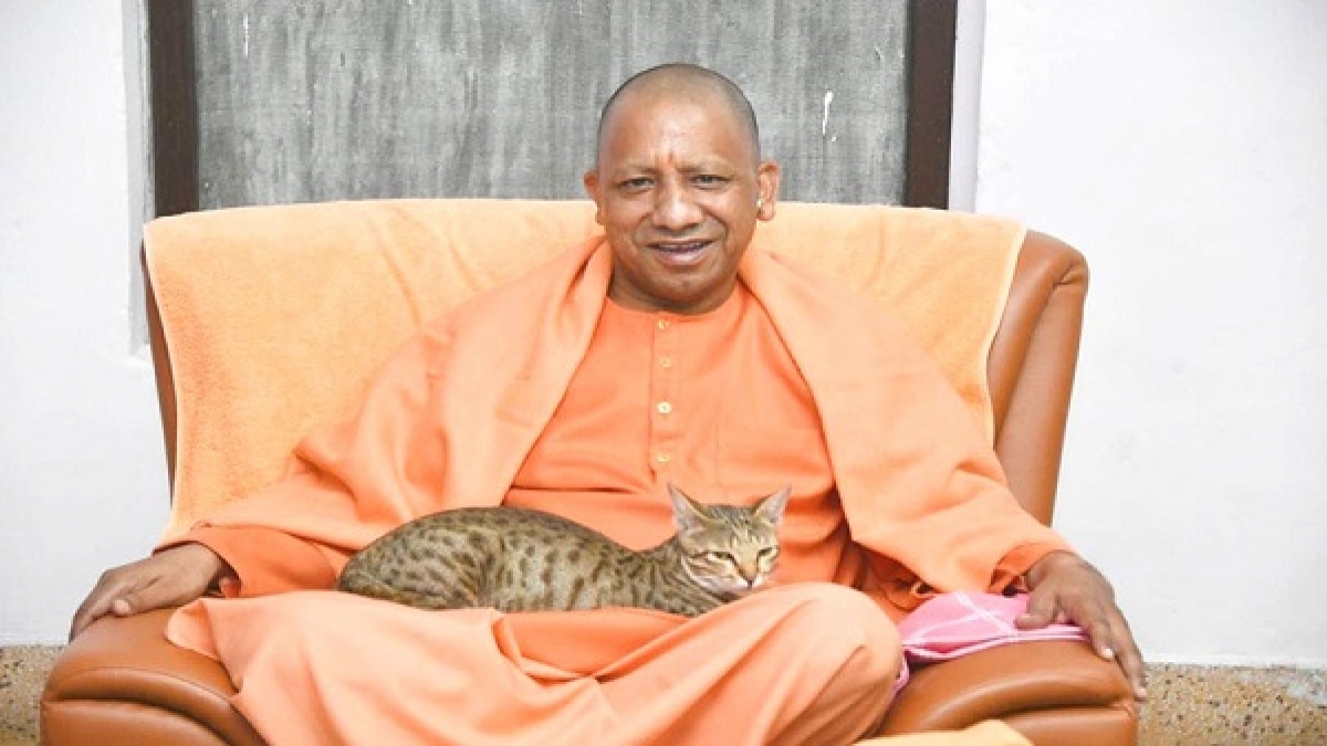Yogi Adityanath posts photo with cat on his lap, says 'even animals can ...