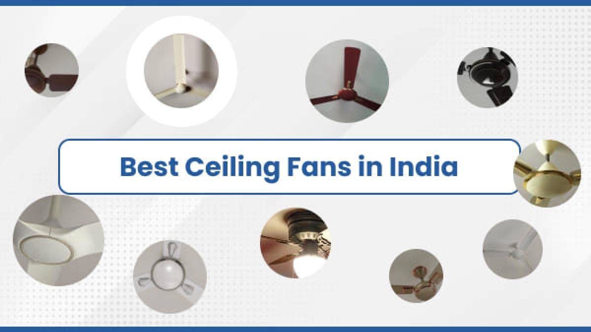 Orient Ceiling Fan Wiring Diagram With Capacitor | Shelly Lighting