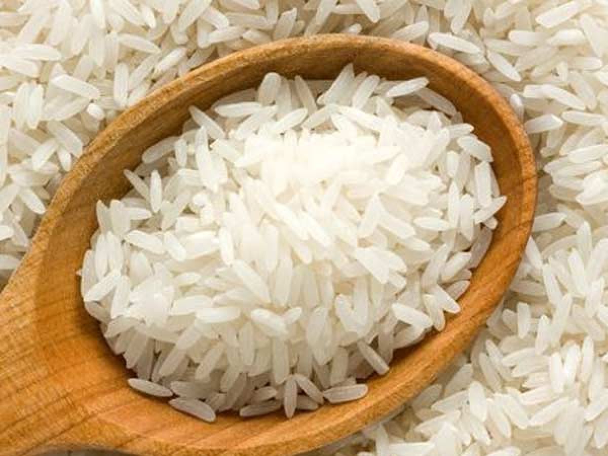 Protein-rich rice developed, may help check malnourishment - Oneindia News