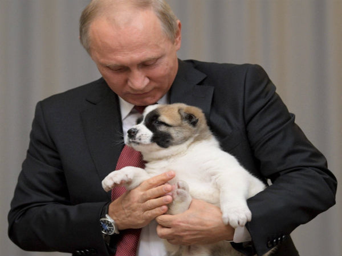 Pup-lover Vladimir Putin gets furry gift for birthday from Turkmen ...