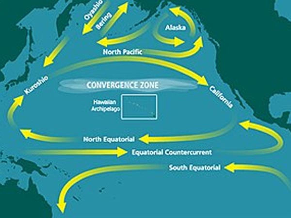 Great garbage patch in Pacific is 3 times bigger than France: Report ...