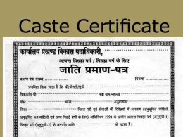 How To Apply For Caste Certificate Online Offline Validity 