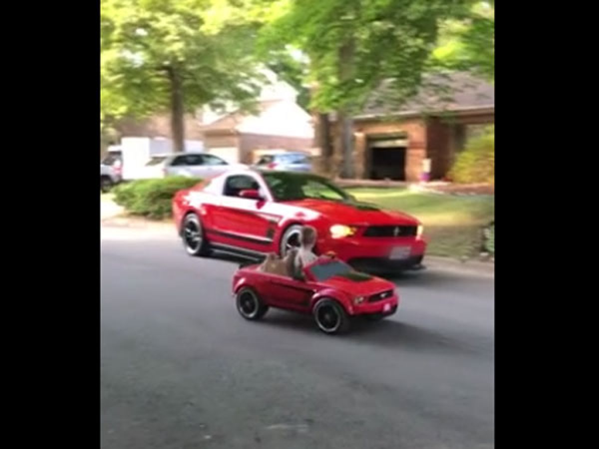 Father and son race in their respective cars but this race is unique ...