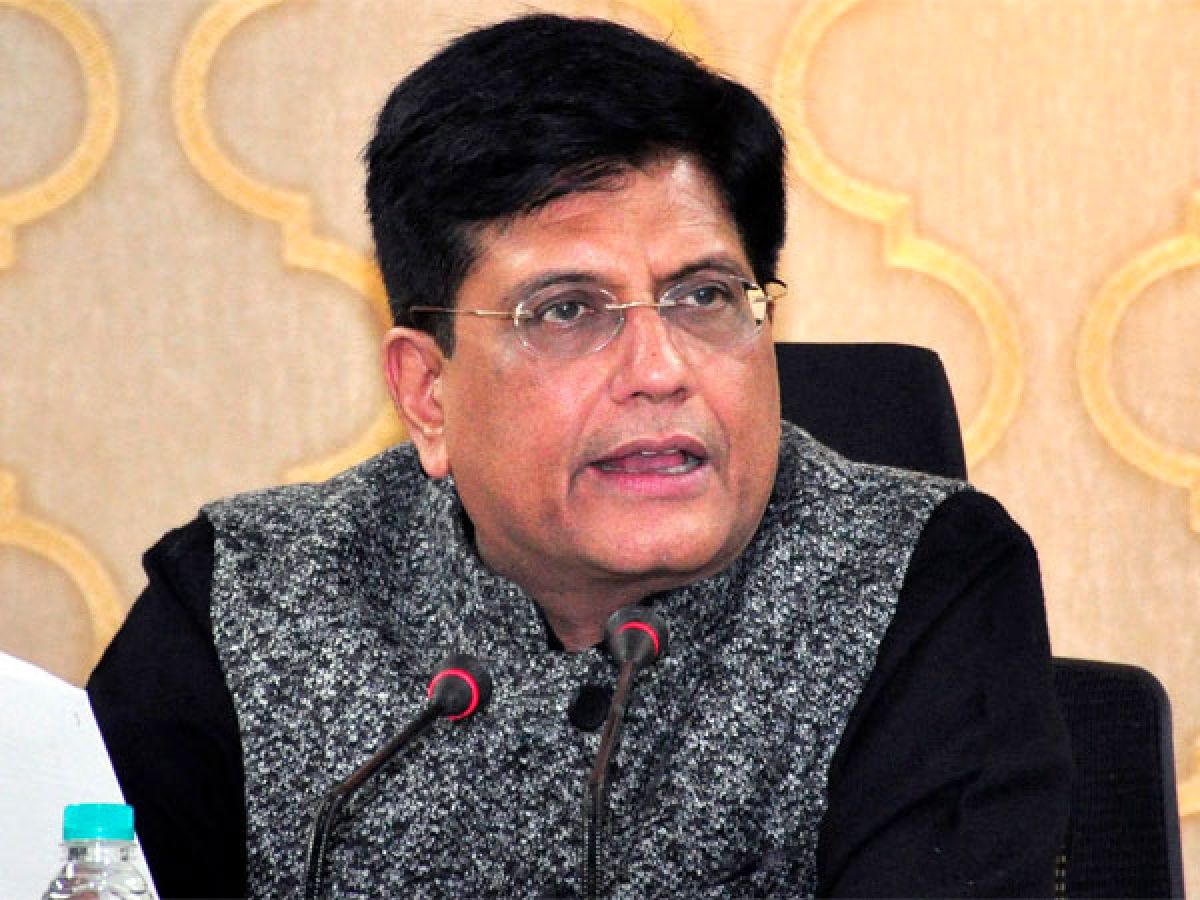 Piyush Goyal will present interim budget, Jaitley advised 2 weeks rest ...