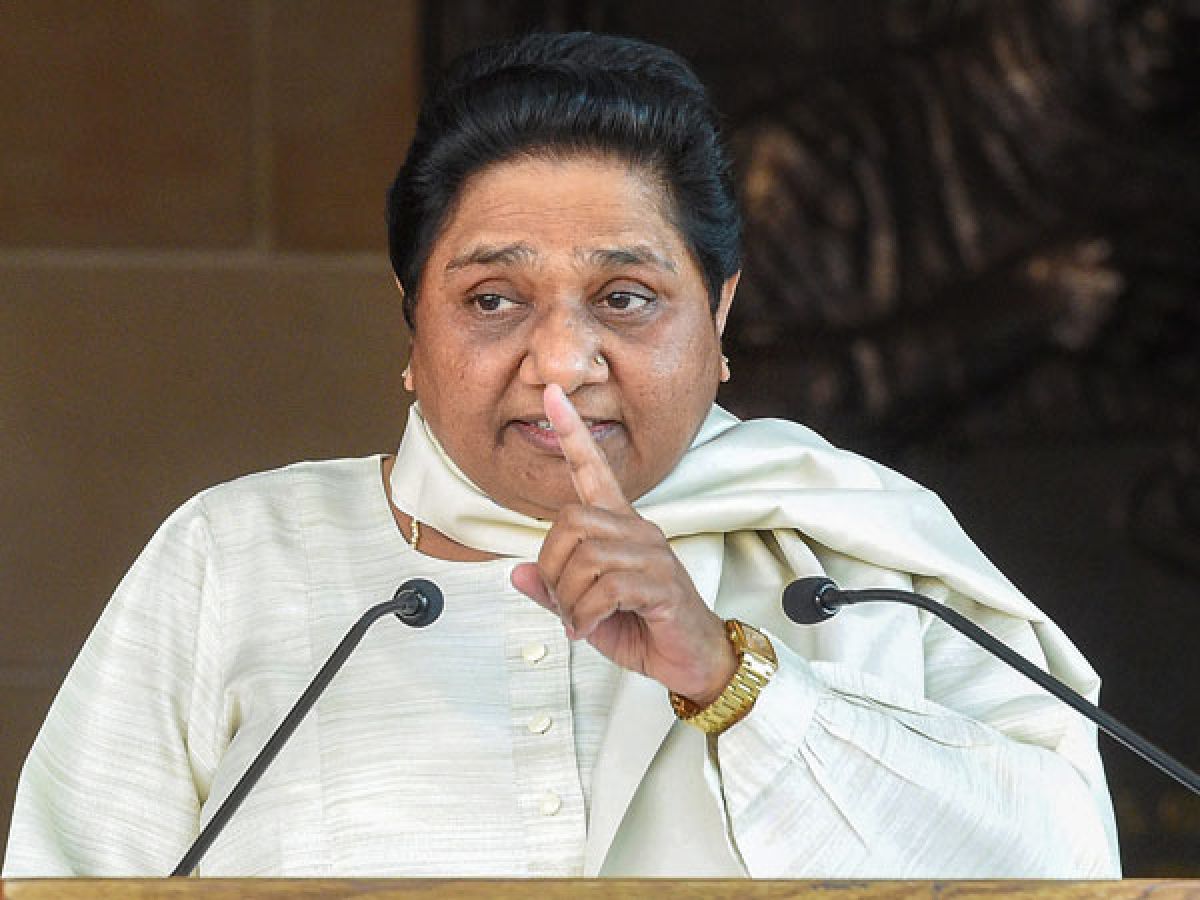 Statues represent will of the people: Mayawati tells SC - Oneindia News