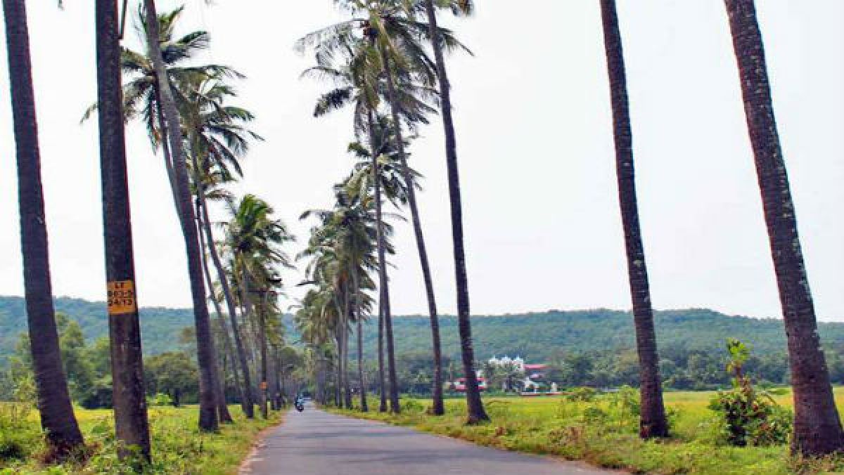This Goa's Parra village suspends 'photography tax' imposed on Tourists ...