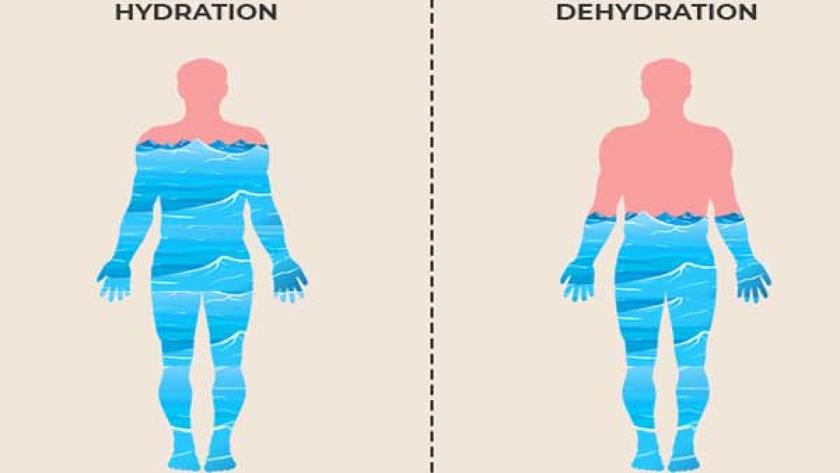 Do you know what happens when there is 20% shortage of water in the ...