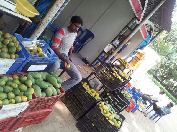 In Pics: Love mangoes? Then head to 'Mango Fair' at Lalbagh - Oneindia News