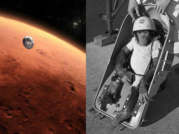 Monkeys are on training to land on Mars by Russian Scientists - Oneindia