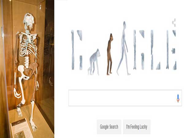 Google Doodle celebrates Lucy discovery: Find out who was 'Lucy' - Oneindia