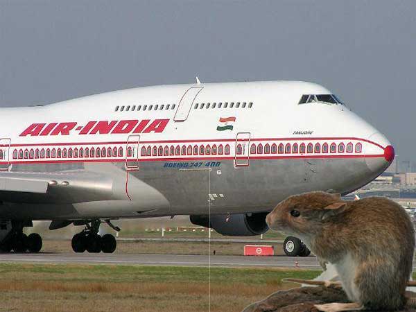 London bound Air India flight called back, rat sighting onboard - Oneindia