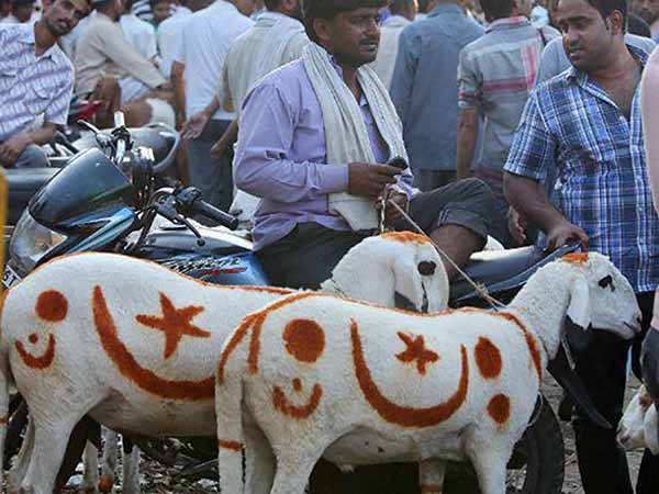 Bakr-Eid in trouble, PIL filed to quash animal sacrifices - Oneindia