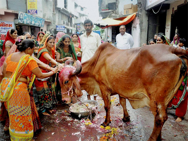 Cow slaughter ban: Left-ruled Kerala outraged - Oneindia News