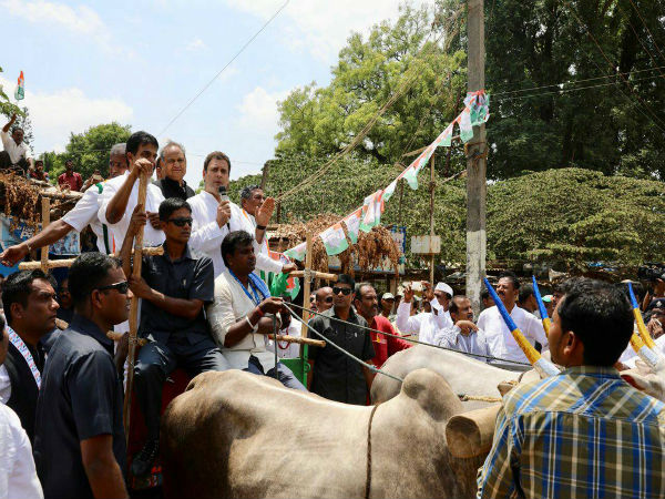 Karnataka elections: Rahul Gandhi’s cycle, bel gadi ki sawari to oppose ...