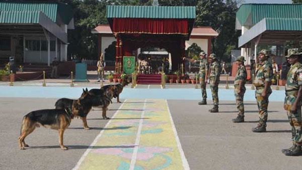 K9 Pool for narco detection to be raised with with 70 dogs - Oneindia News