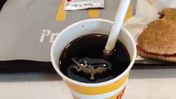 Man finds 'dead lizard floating in cold drink'; McDonald’s outlet in ...