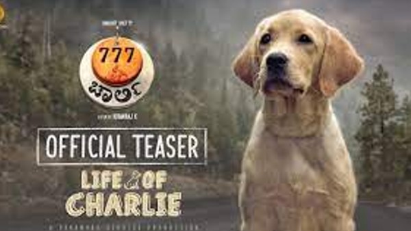Inspired By 777 Charlie Movie Police Name The New Sniffer Dog As inspired-by-777-charlie-movie-police-name-the-new-sniffer-dog-as