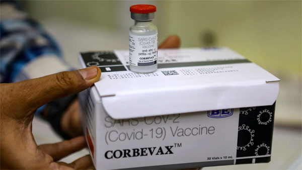 Corbevax approved as booster dose for adults jabbed with Covishield ...