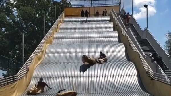 Viral video: Design error in giant slide ends in its closure in hours ...