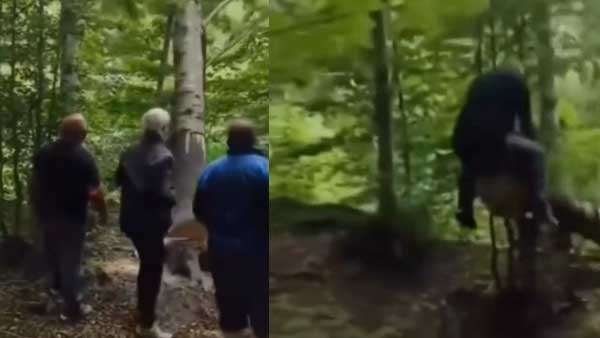 When nature took revenge against humans for cutting down a tree: Watch ...