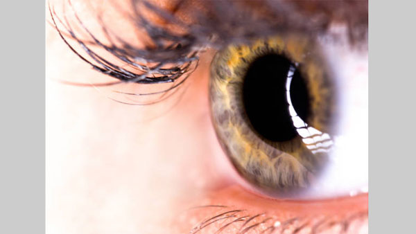 What is Lazy Eye? Can amblyopia be fixed? - Oneindia News