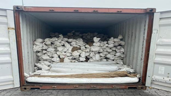 DRI, Customs seize 10,230 kg of red sanders worth of Rs 6 cr from ...