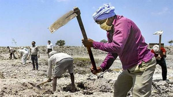 Massive boost to e-SHRAM as over 28.46 crore unorganised workers ...