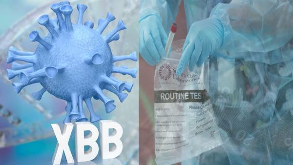 India reports first case of Omicron's XBB.1.5 variant that's behind US ...