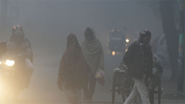 Intense cold wave, fog continue to grip North India: Check IMD latest ...