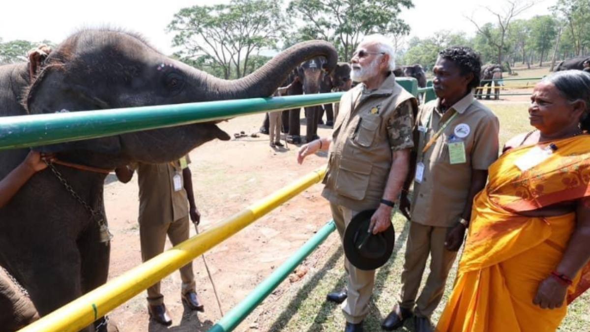 PM Modi meets The Elephant Whisperers' couple Bomman, Bellie; invites ...