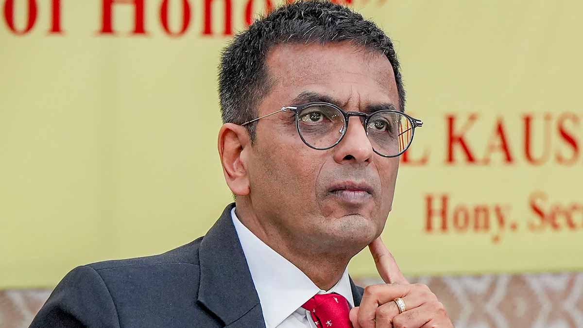 Don’t mess with.. CJI Chandrachud snaps at advocate - Oneindia News
