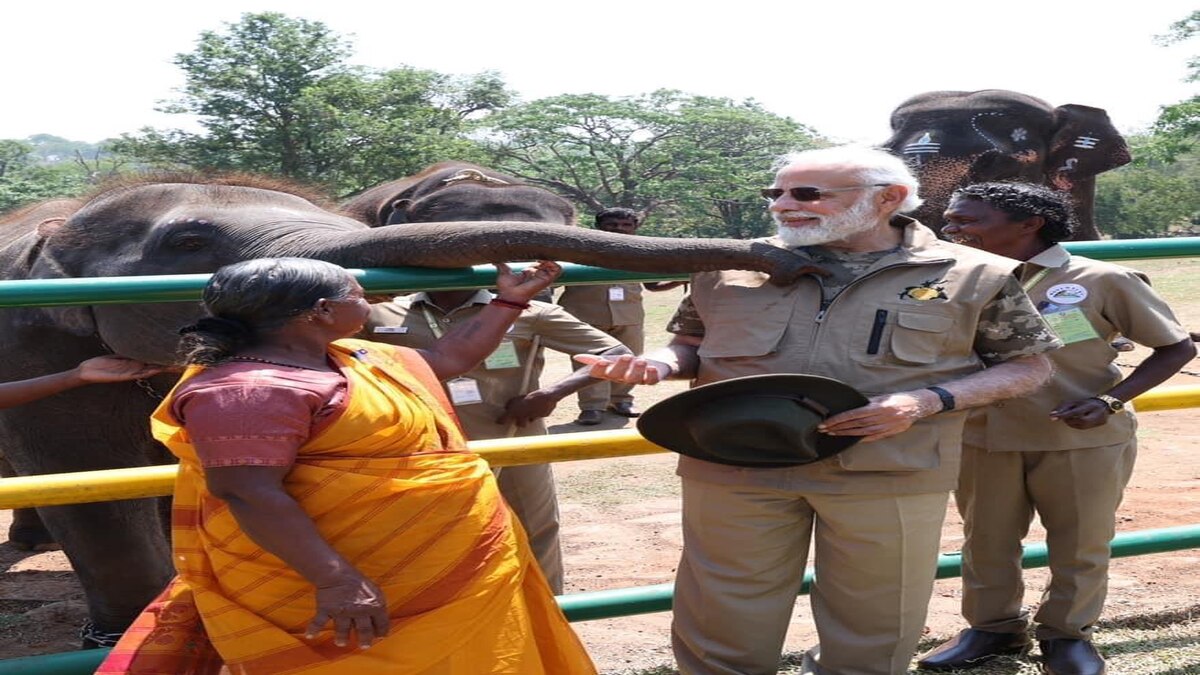 PM Modi meets The Elephant Whisperers' couple Bomman, Bellie; invites ...