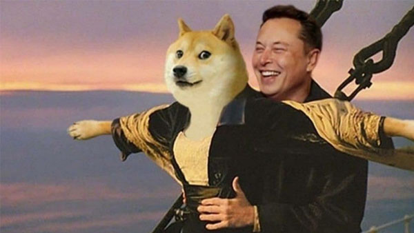 Musk replaces Twitter's blue bird logo with Doge meme: Here's why ...