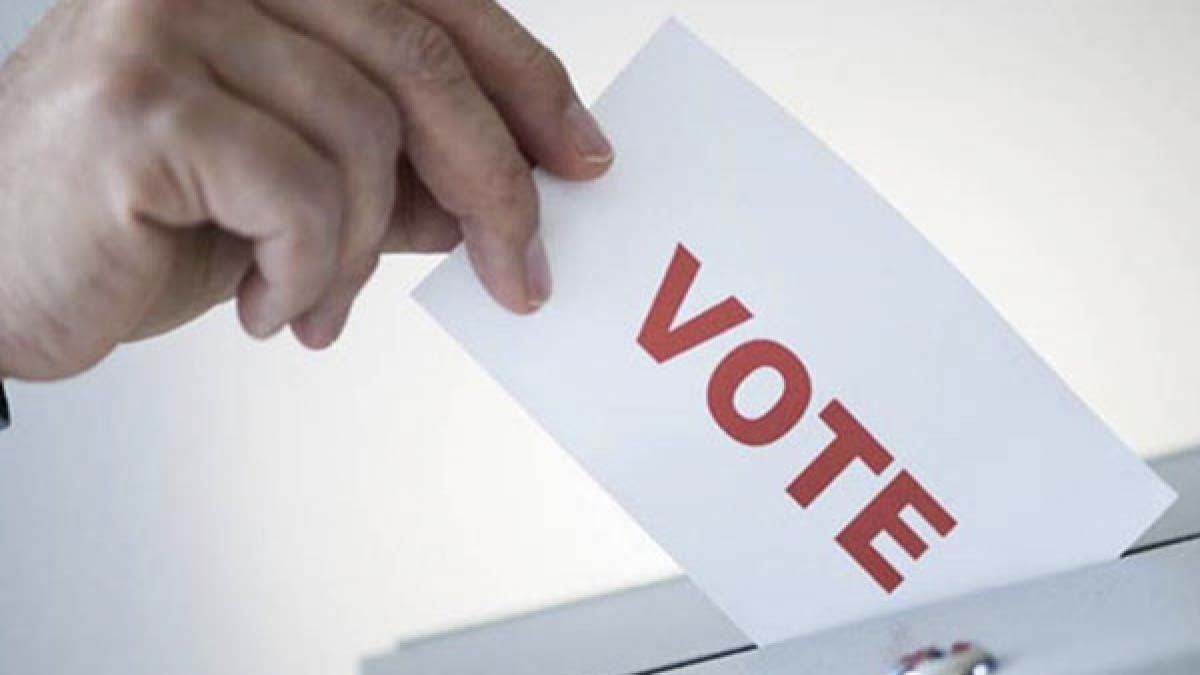 Plea seeking right for NRIs to vote from respective countries rejected ...