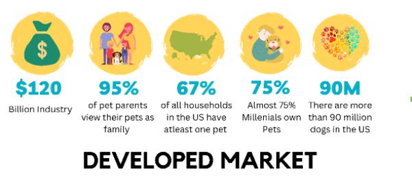 Rapid humanization and adoption of Pets needs enrichment-based dog ...