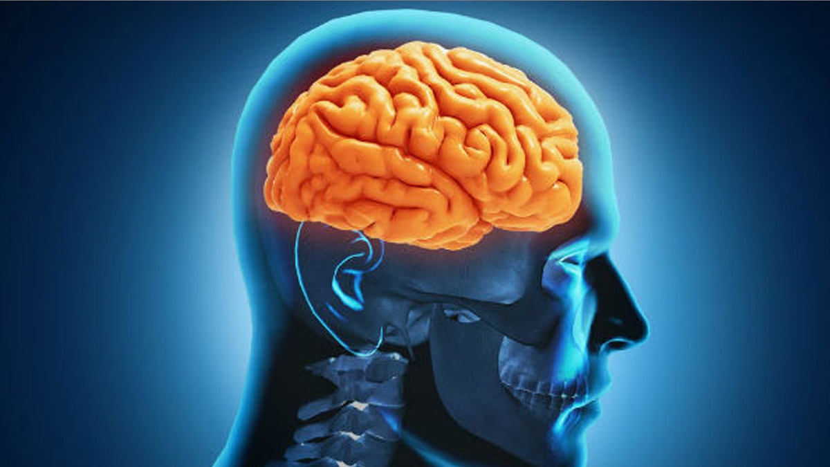 15-Year-Old Killed By Rare 'Brain Eating Amoeba' in Kerala: What is the ...