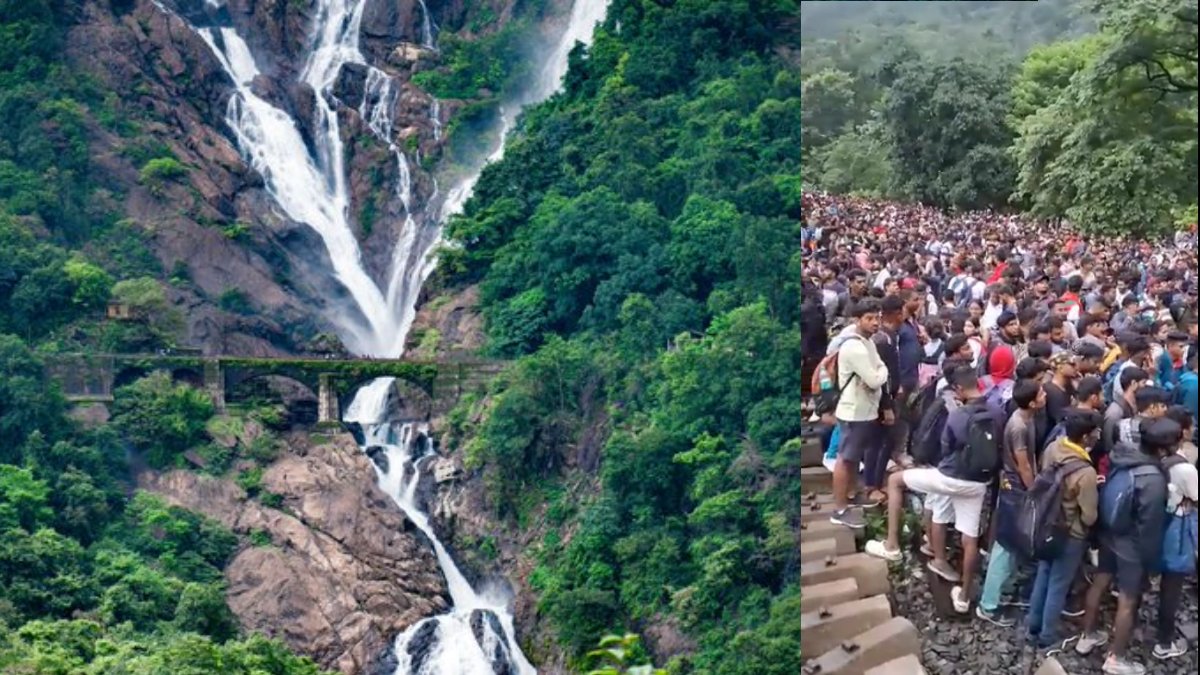 Dudhsagar Falls: Tourists Caught on Camera Doing Sit-Ups for Violating ...
